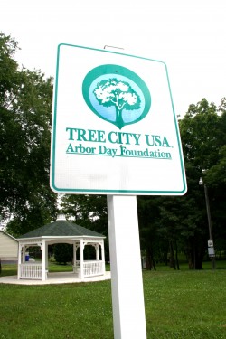 Tree City USA – Delaware Trees