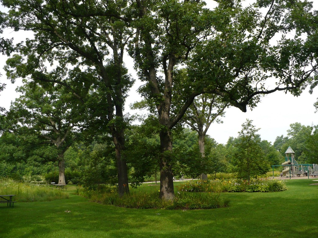 Society of Municipal Arborists – An Ally to Tree Pros – Delaware Trees