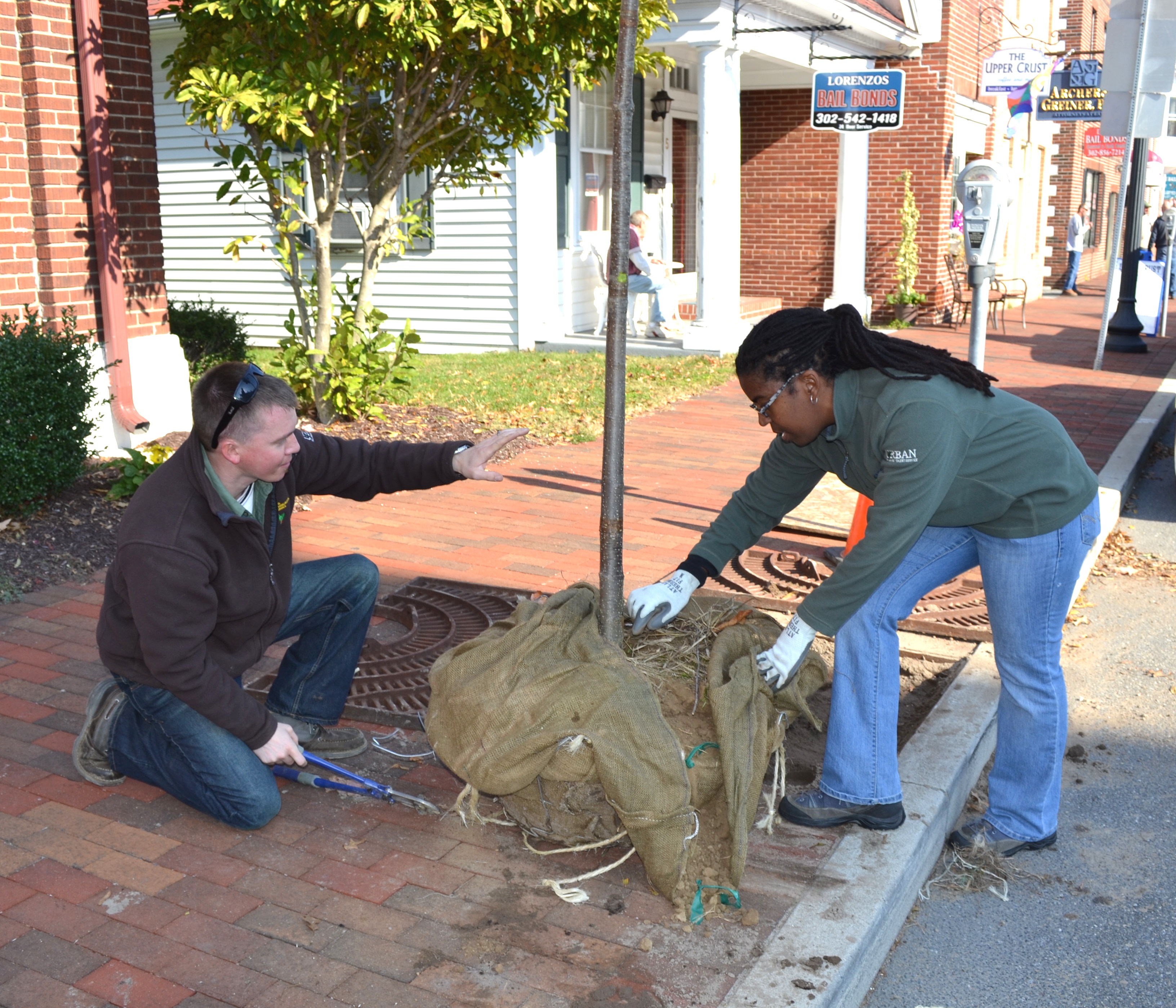 Delaware Forest Service helps trees take root in Georgetown – Delaware ...