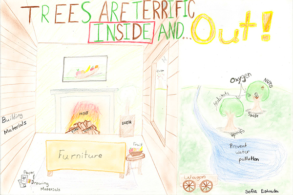 Arbor Day School Poster Contest Winners – Delaware Trees