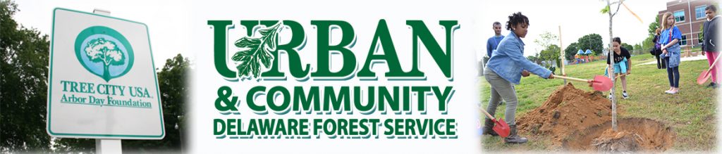 Recommended Trees – Delaware Trees