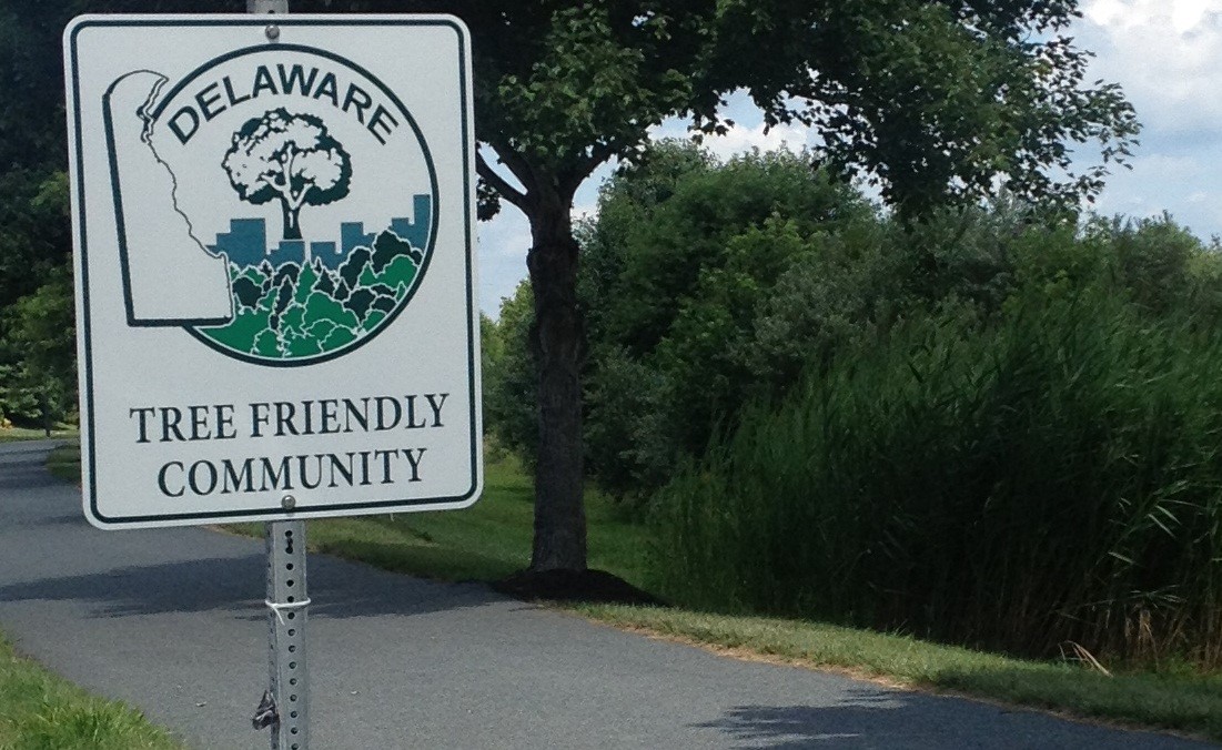 Tree Friendly Community – Delaware Trees