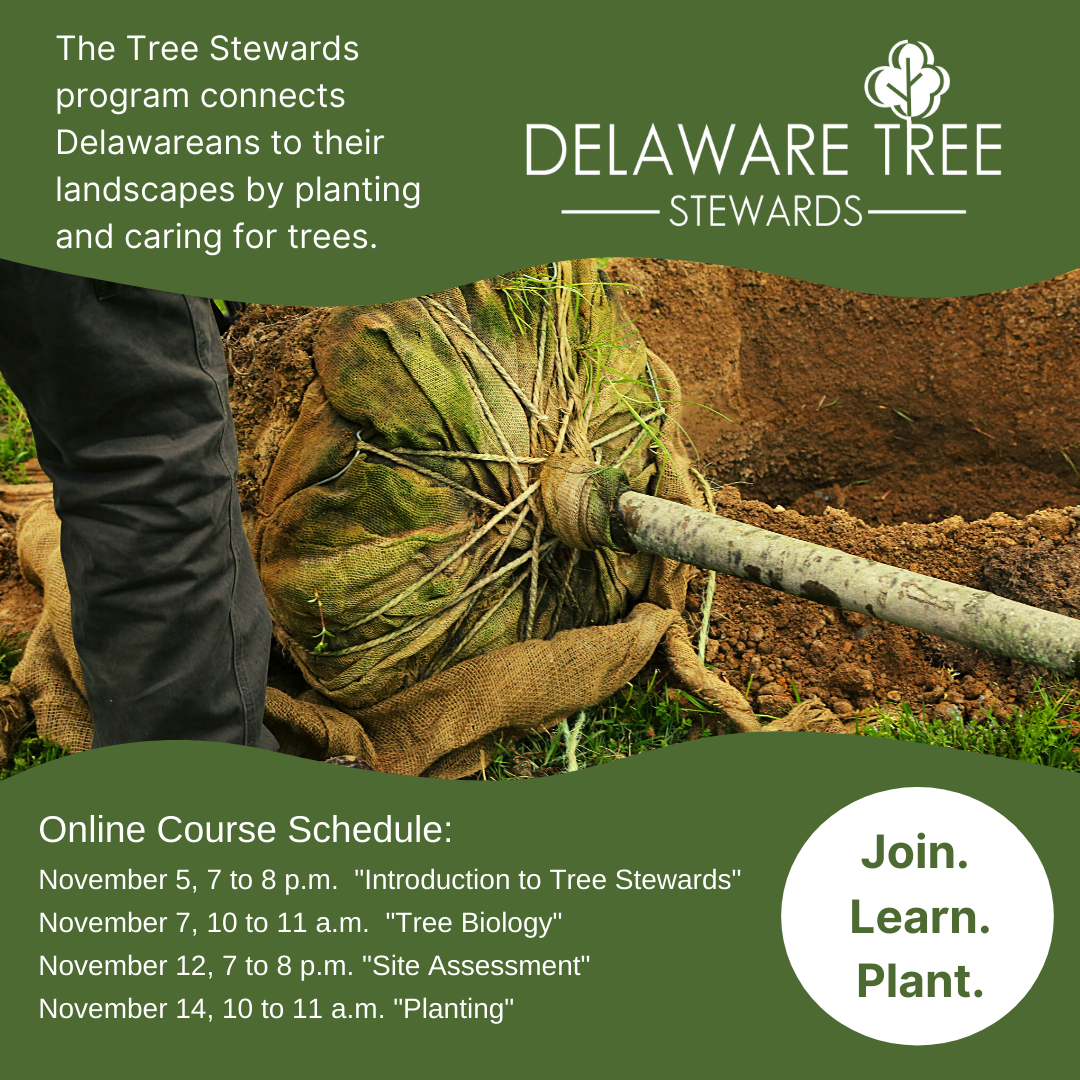 Delaware Tree Stewards – Delaware Trees