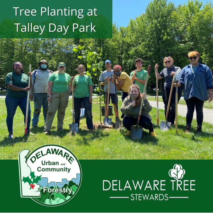 Delaware Trees – Putting trees first in the First State!